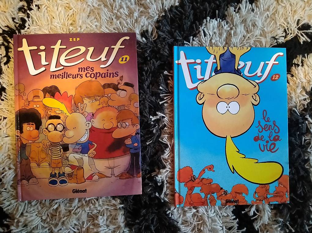 Bande-dessinées "Titeuf" en lot ou à l'unité Canton Vaud - anibis.ch