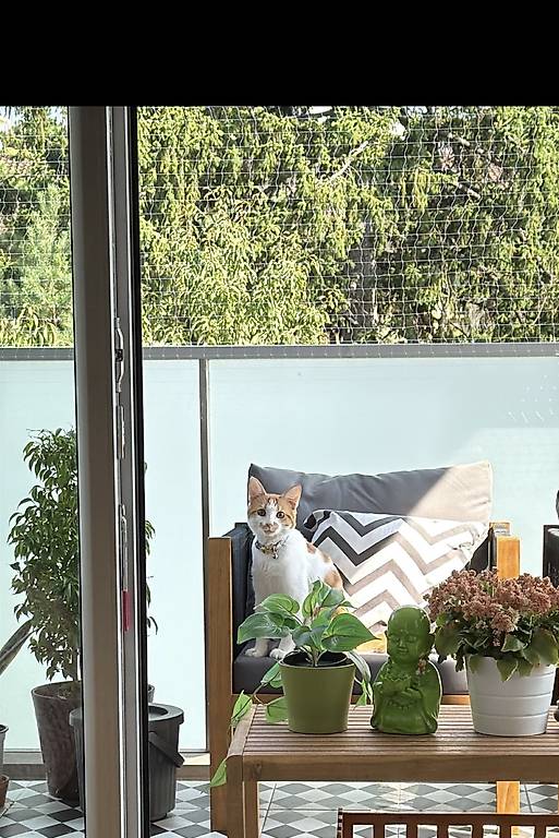 Filet de protection pour balcon Canton Genève - anibis.ch