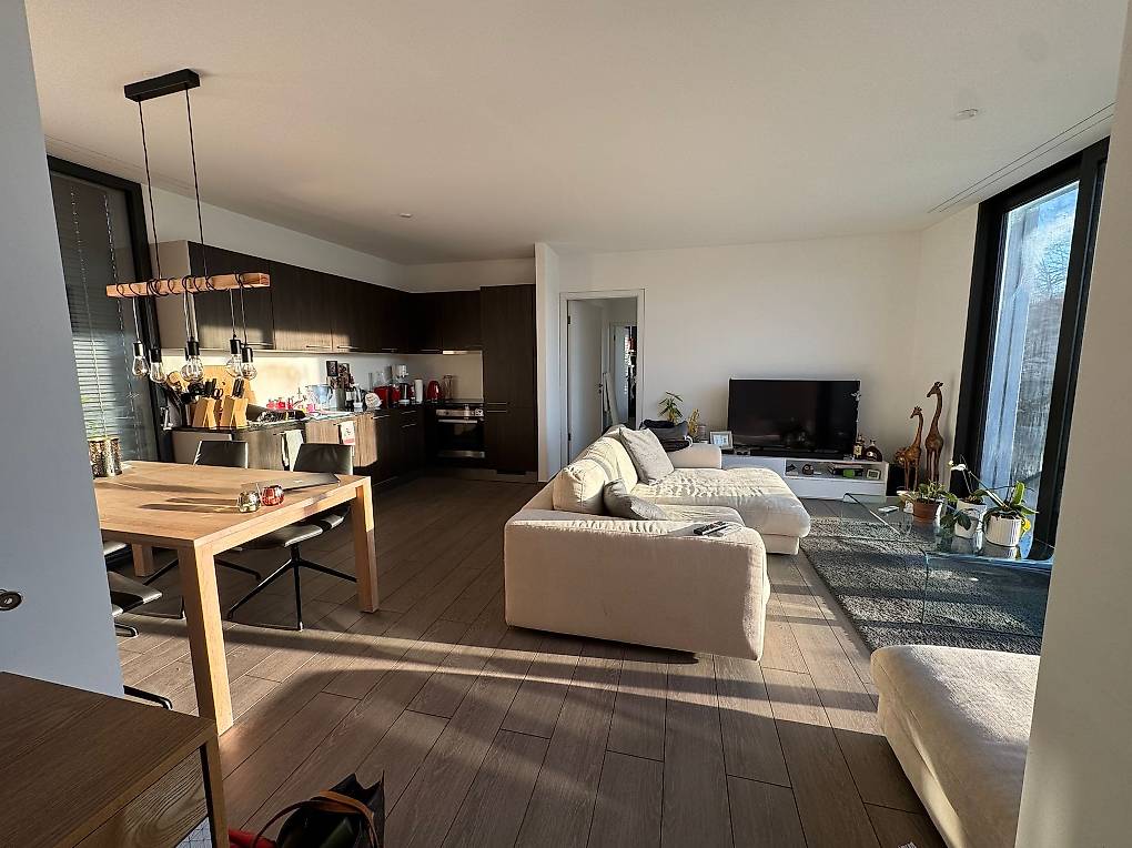 Élégance urbaine et terrasse XXL à Nyon Canton Vaud louer - anibis.ch