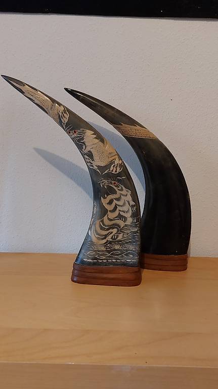 Cornes sculptées en résine Canton Vaud - anibis.ch