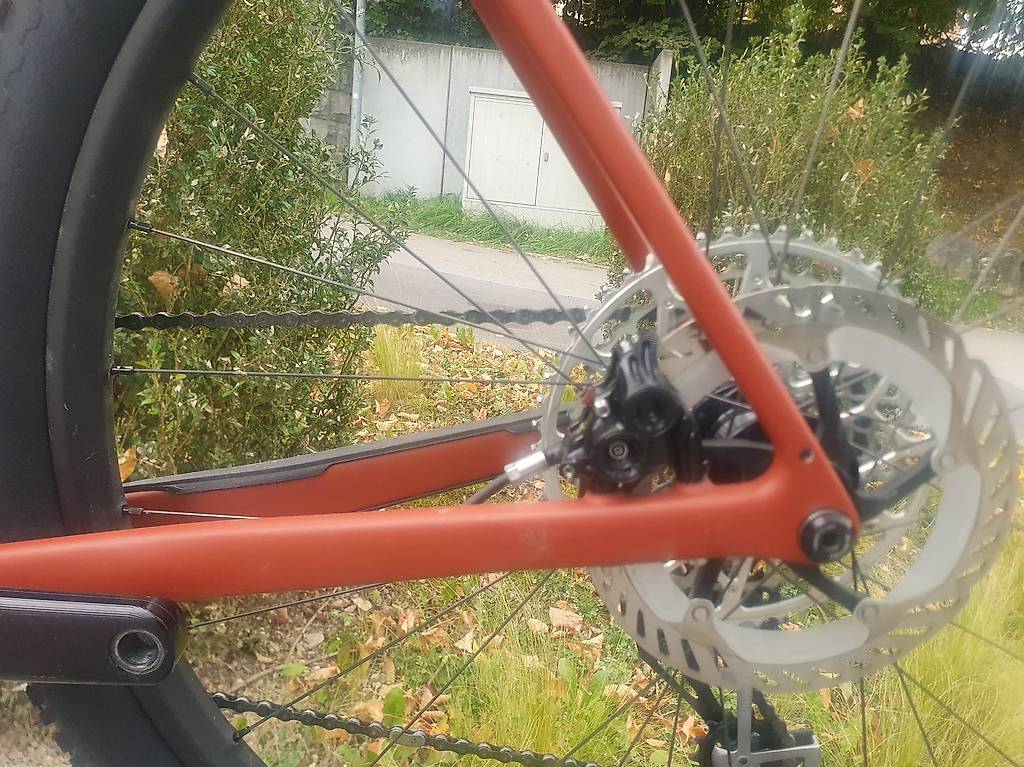 Santa Cruz Stigmata XXL Canton Vaud - anibis.ch