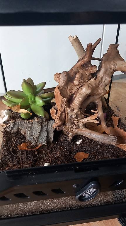 TERRARIUM EXO TERRA Neuf et aménager Canton Fribourg - anibis.ch