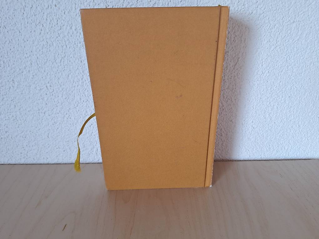 Spiegel und Licht - Historischer Roman Canton Berne - anibis.ch