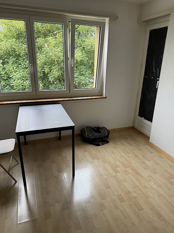 35m 1.5 room Apartment to rent for 3 months Canton Zurich louer - anibis.ch