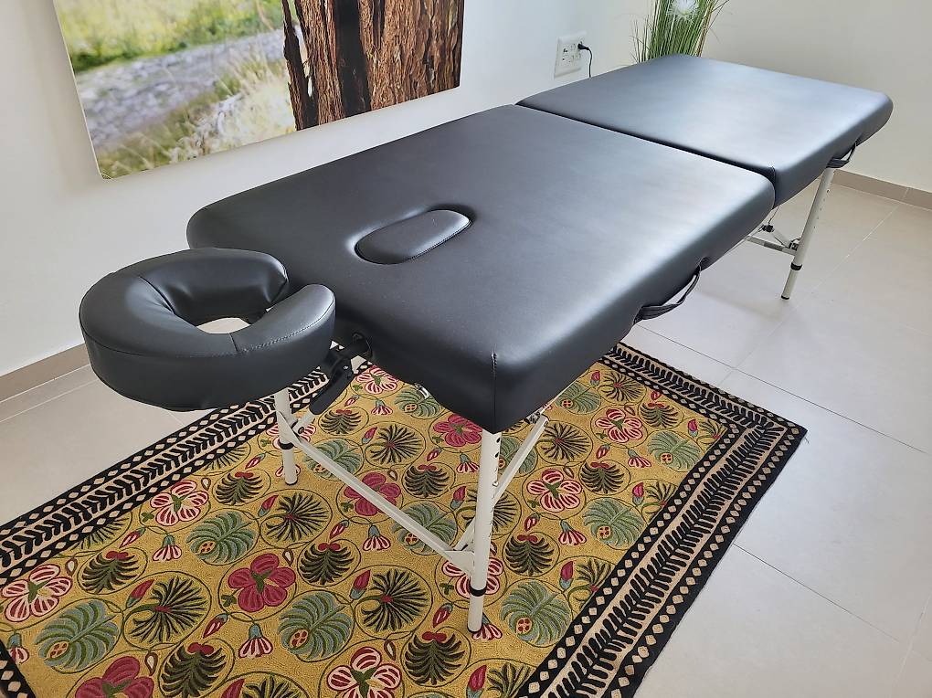 Table de massage portable + sac Canton Valais - anibis.ch