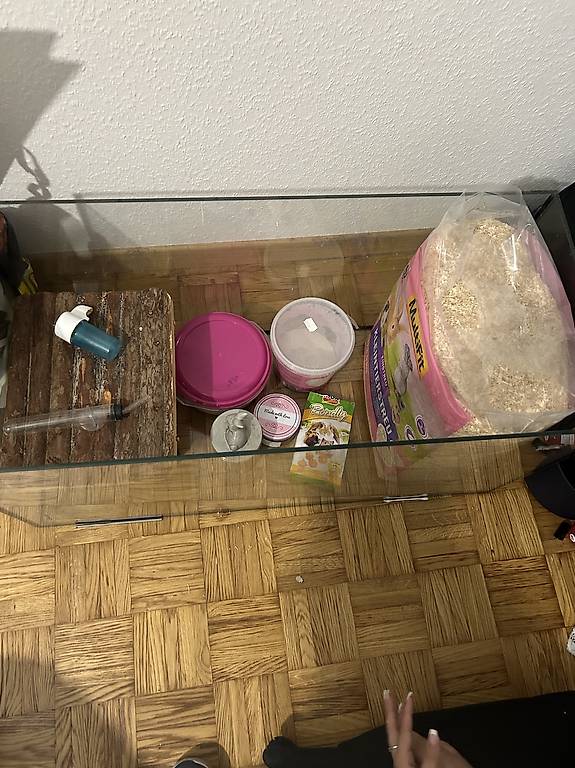 Terrarium pour hamster ou autres animaux Canton Vaud - anibis.ch