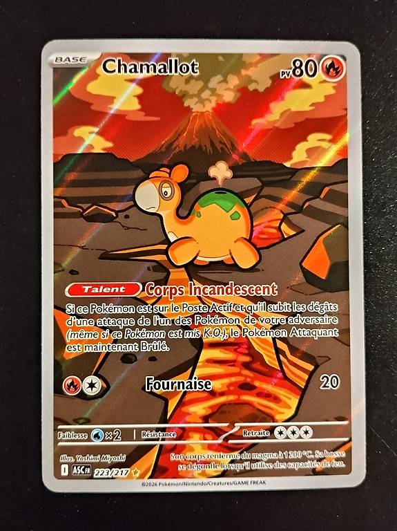 Pokémon Héros Transcendants: Papinox 220/217 FR Canton Vaud - anibis.ch
