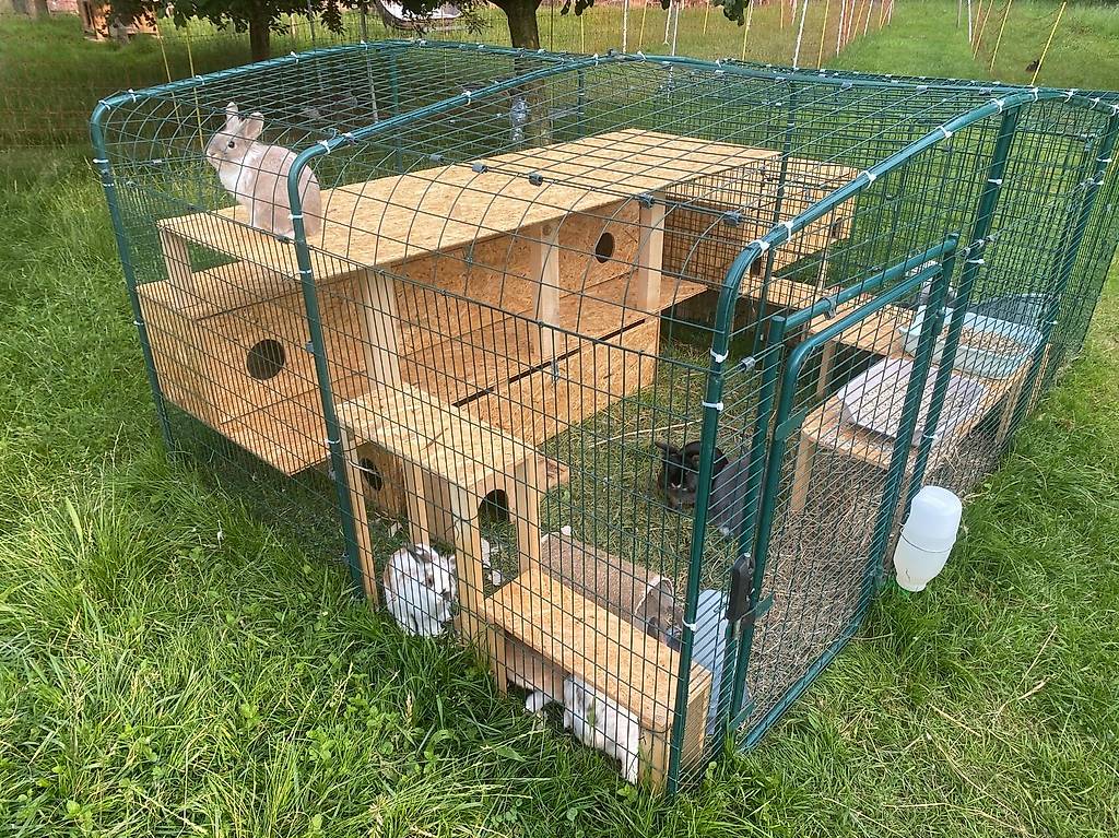 Pension pour lapins (enclos à partir de 7 lapins) Cantone Vaud - anibis.ch