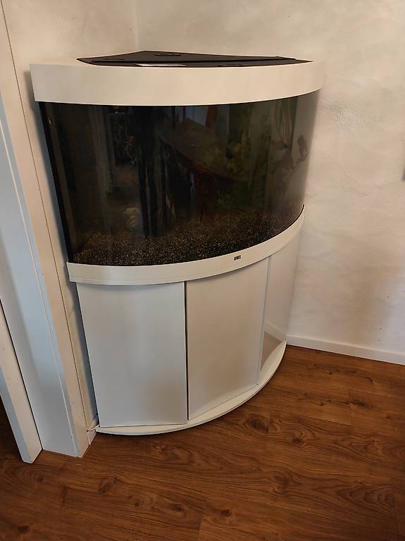 Juwel Trigon 190 LED - Eckaquarium Kombination Weiss Canton Berne ...