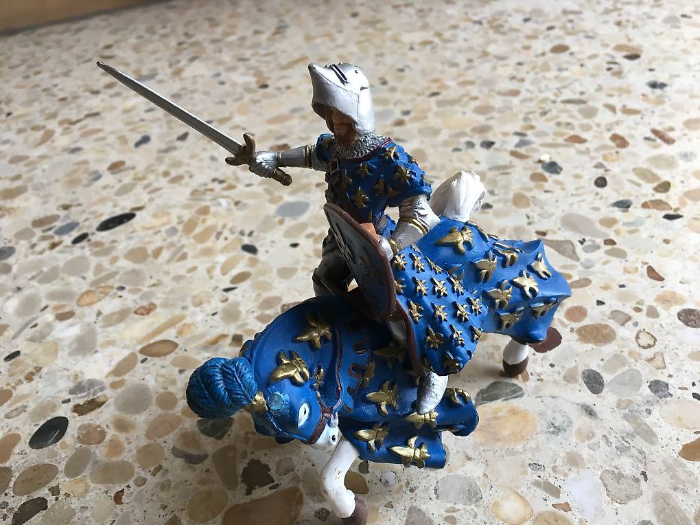 Chevalier avec chevaux Canton Vaud - anibis.ch