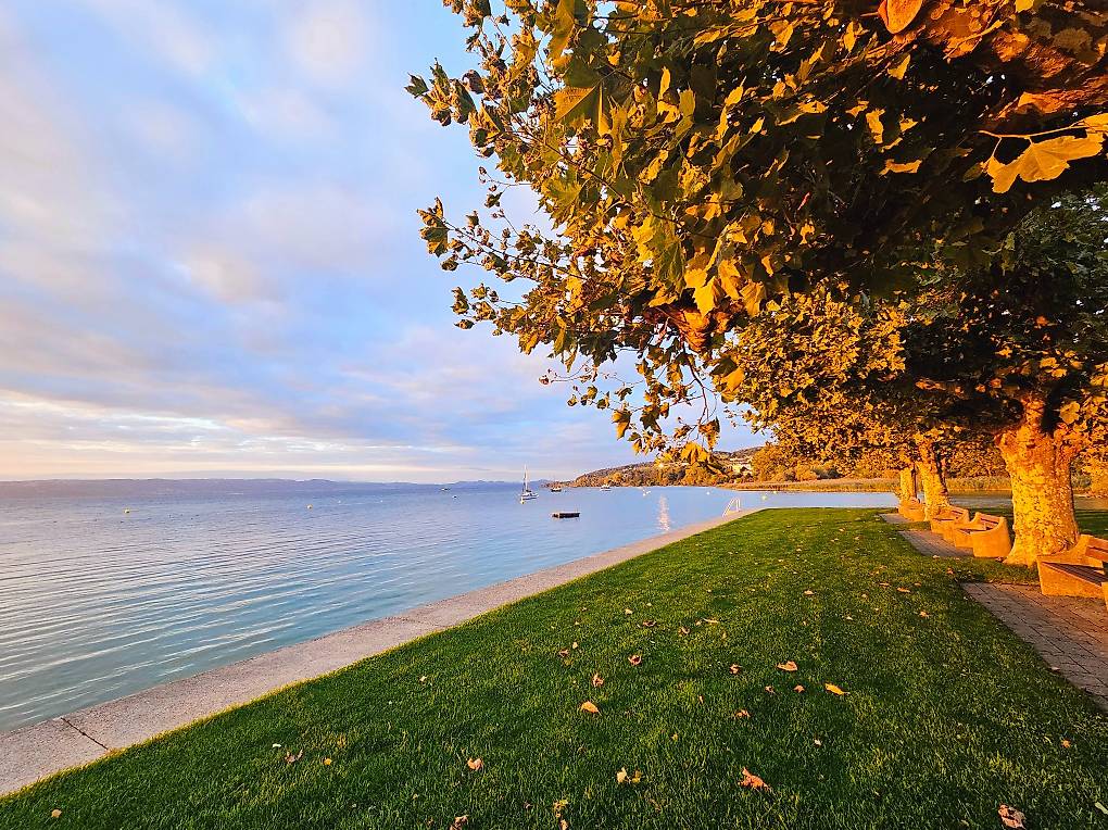 URGENT Cherche à Concise St-Aubin-Sauges Canton Vaud louer - anibis.ch