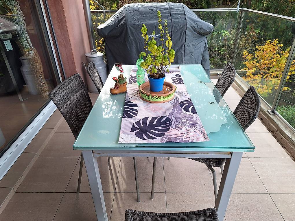 Table salon ou terrasse avec 6 chaises Canton Vaud - anibis.ch