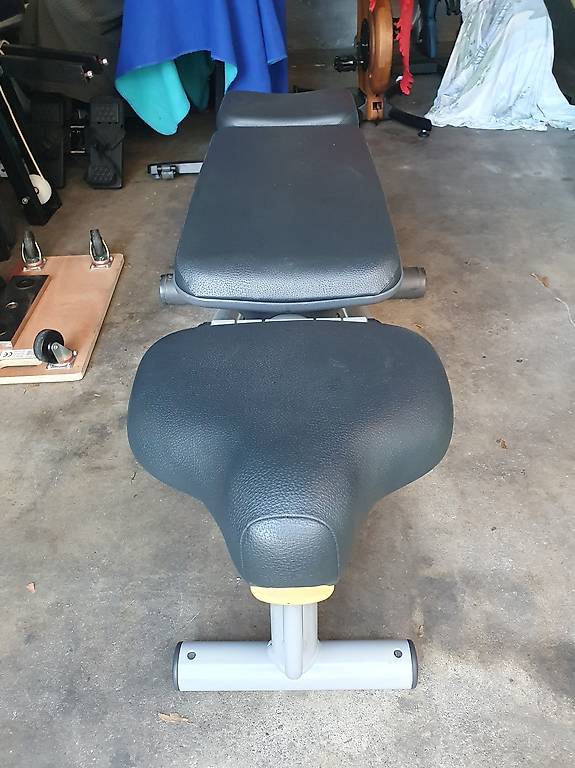 Technogym Adustable Bench Banc Hantelbank Canton Thurgovie - anibis.ch
