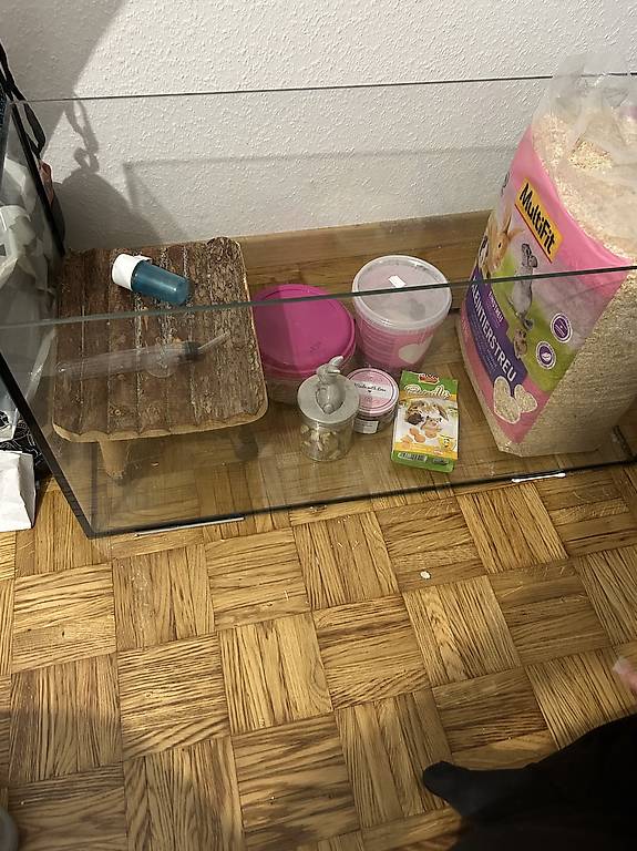 Terrarium pour hamster ou autres animaux Canton Vaud - anibis.ch