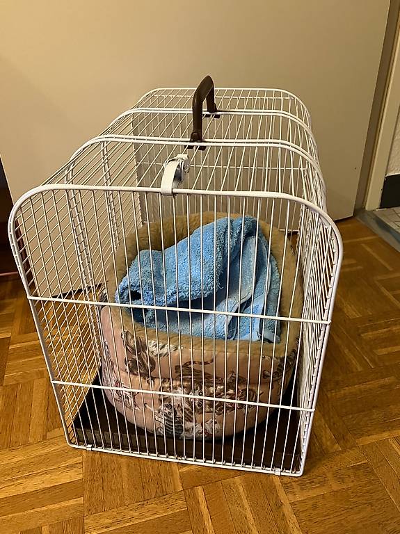 Cage de transport chat Canton Vaud - anibis.ch