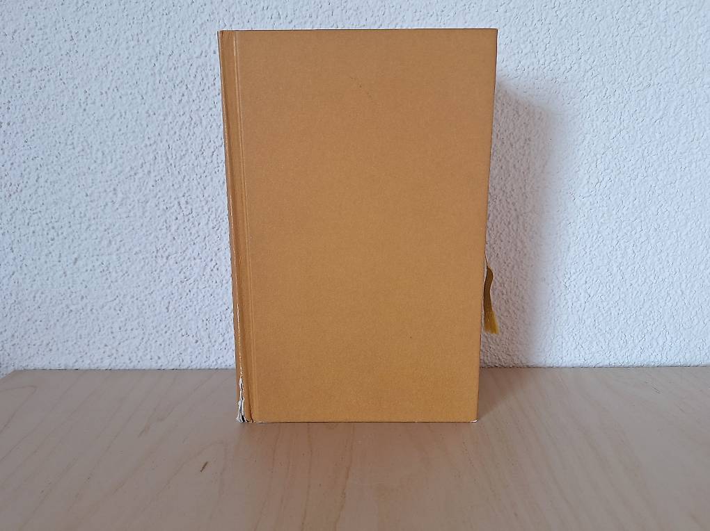 Spiegel und Licht - Historischer Roman Canton Berne - anibis.ch