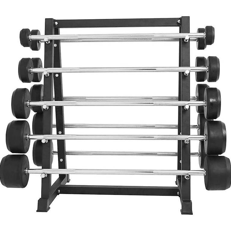 Ensemble d'haltères compact professionnel avec étagère Canton Vaud ...