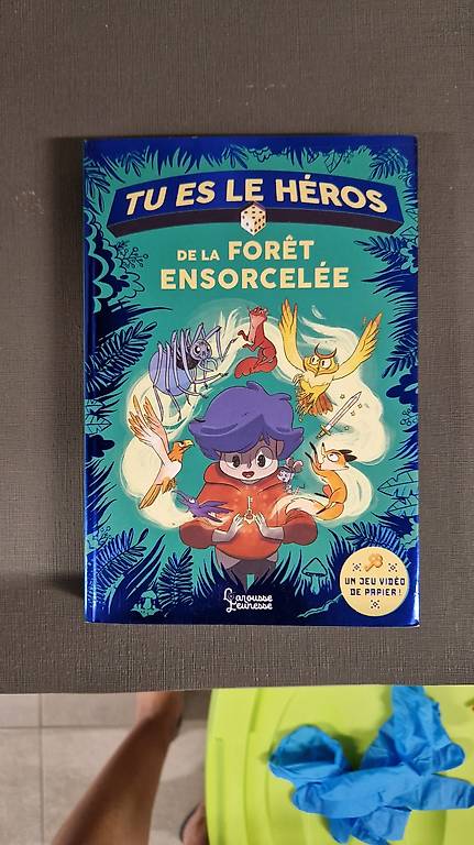 TU ES LE HEROS : de la forêt ensorcelée Canton Valais - anibis.ch