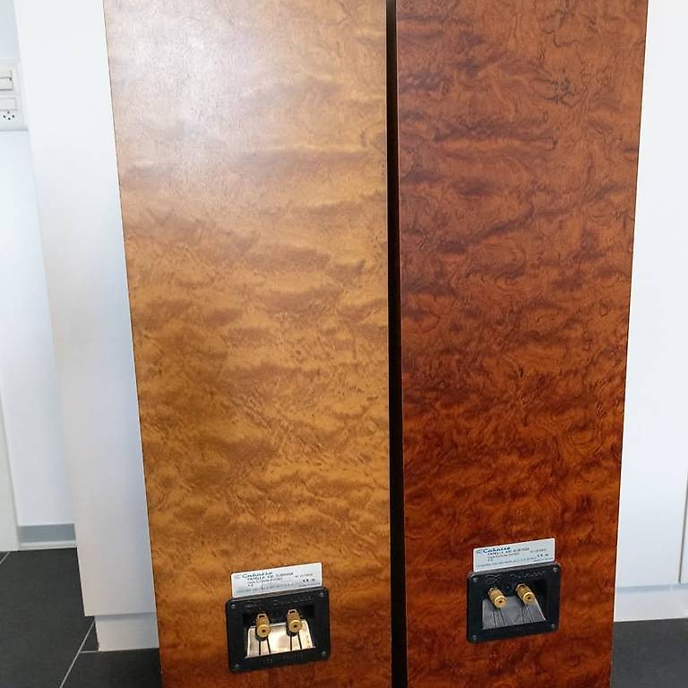 Enceintes Cabasse Farella Canton Berne - anibis.ch