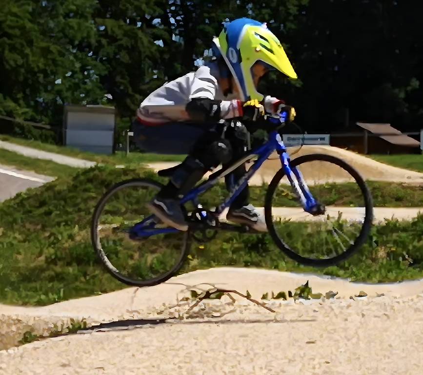 BMX race Redline MICRO ProLine Canton Vaud - anibis.ch