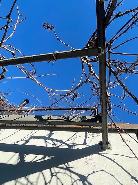 Pergola d'occasion Canton Vaud - anibis.ch