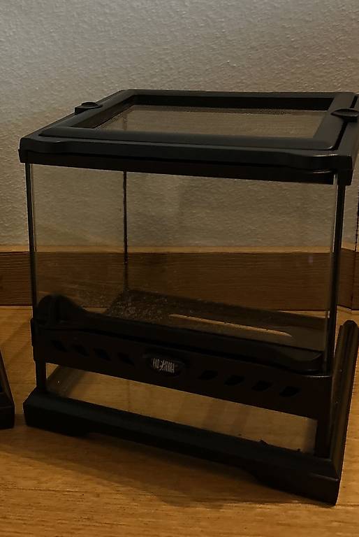 Terrarium exo terra 20cm x 20cm x 20cm Canton Vaud - anibis.ch