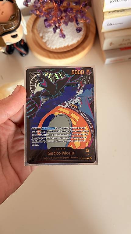 Gecko Moria eB02 ep06-080 Leader DON Français Canton Vaud - anibis.ch