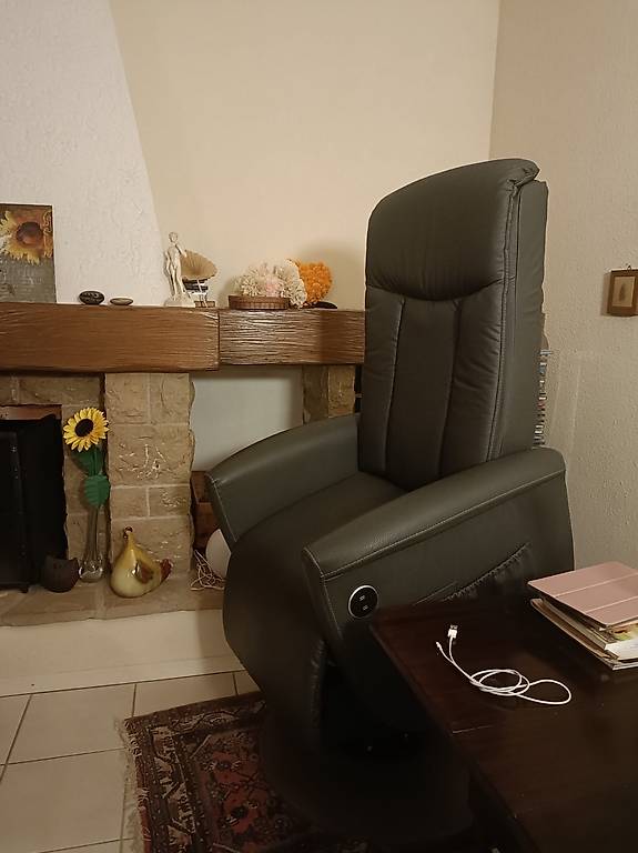 Fauteuil inclinable et verticalisateur Canton Vaud - anibis.ch