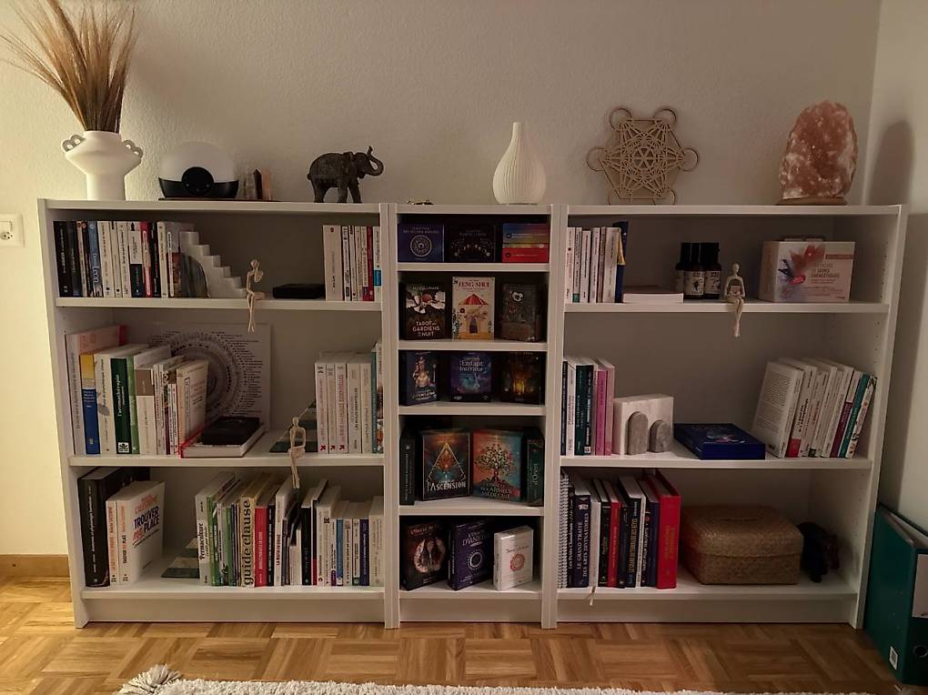 Étagère / bibliothèque Billy IKEA Canton Vaud - anibis.ch