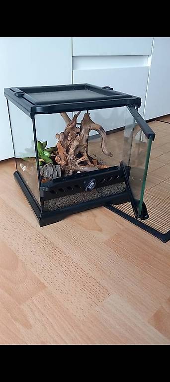 NEW! TERRARIUM EXO TERRA NEUF Canton Fribourg - anibis.ch
