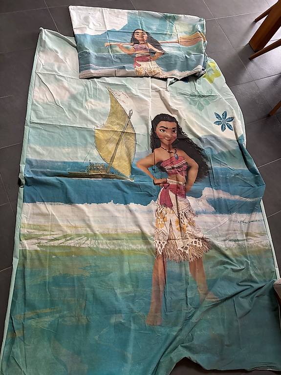 Fourre de lit enfants 30.- pièces Canton Vaud - anibis.ch