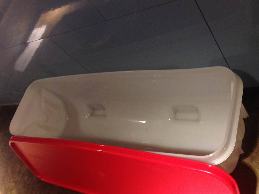 Neuer Leisi Teig aufbewahrungs box im Kanton Aargau - anibis.ch