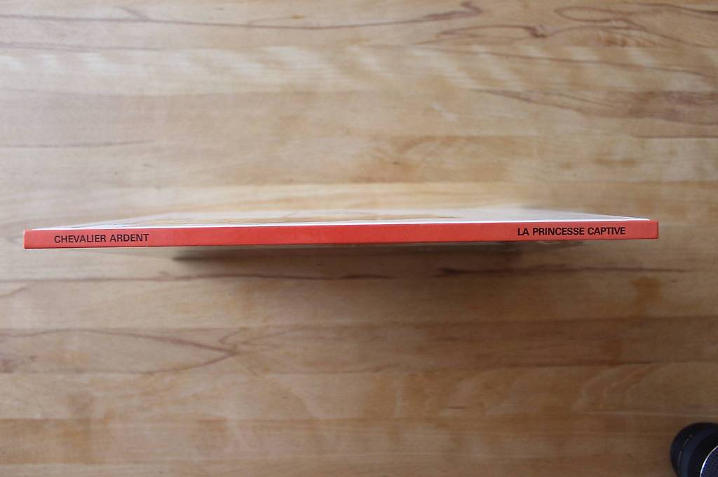 Chevalier Ardent - La Princesse captive - Bande dessinée im Kanton ...