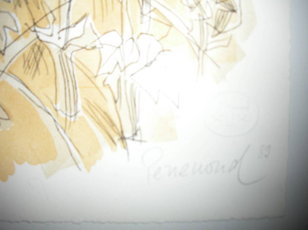 Tableau lithographie du Prieuré de Pully im Kanton Waadt - anibis.ch