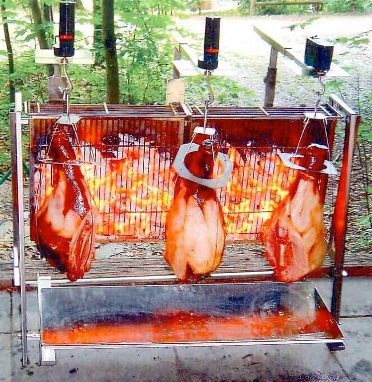 Grill Pro 2 inox - tournebroche et grill Canton Vaud - anibis.ch