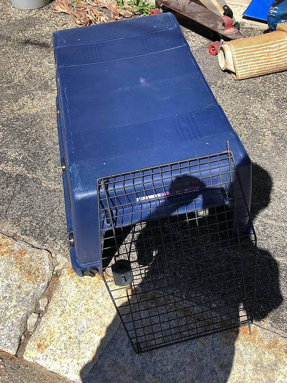 Box pour chien / Hundebox (Flugbox) grand/gross Canton Neuchâtel ...