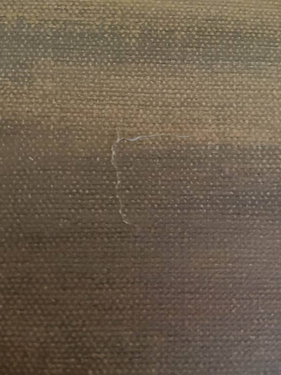 Tableau africain / savane Canton Vaud - anibis.ch