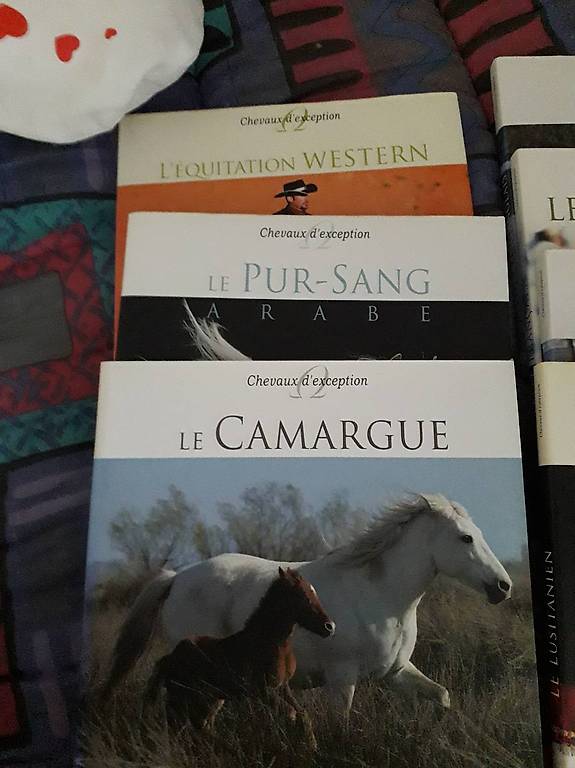 livre sur les cheveaux Canton Vaud - anibis.ch