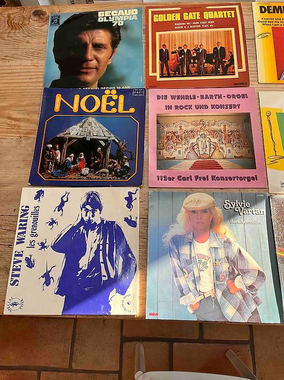 Disques vinyls 33 tours Canton Vaud - anibis.ch