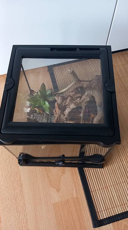 TERRARIUM EXO TERRA Neuf et aménager Canton Fribourg - anibis.ch