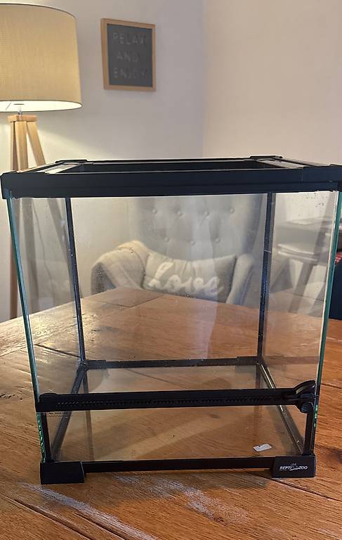 Terrarium pour insectes Canton Genève - anibis.ch