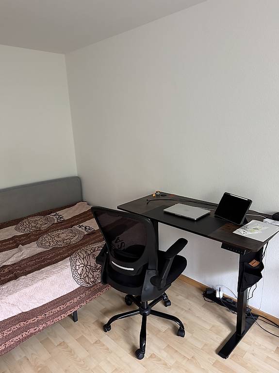 35m 1.5 room Apartment to rent for 3 months Canton Zurich louer - anibis.ch