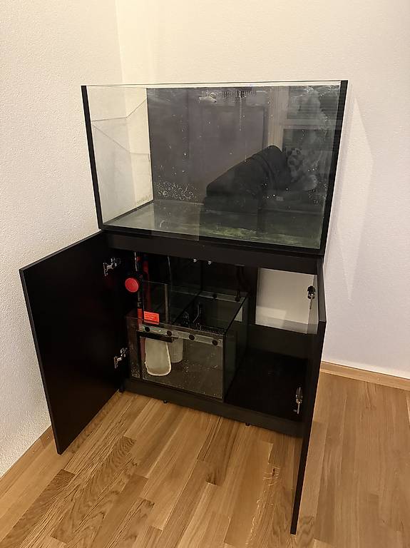 Red sea reefer 250 g2 Canton Vaud - anibis.ch