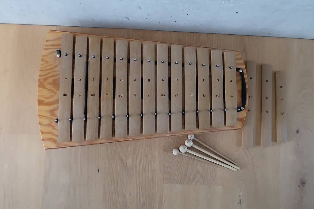 Xylophon Studio49 AXG 1000 Murten/Yverdon Canton Fribourg - anibis.ch