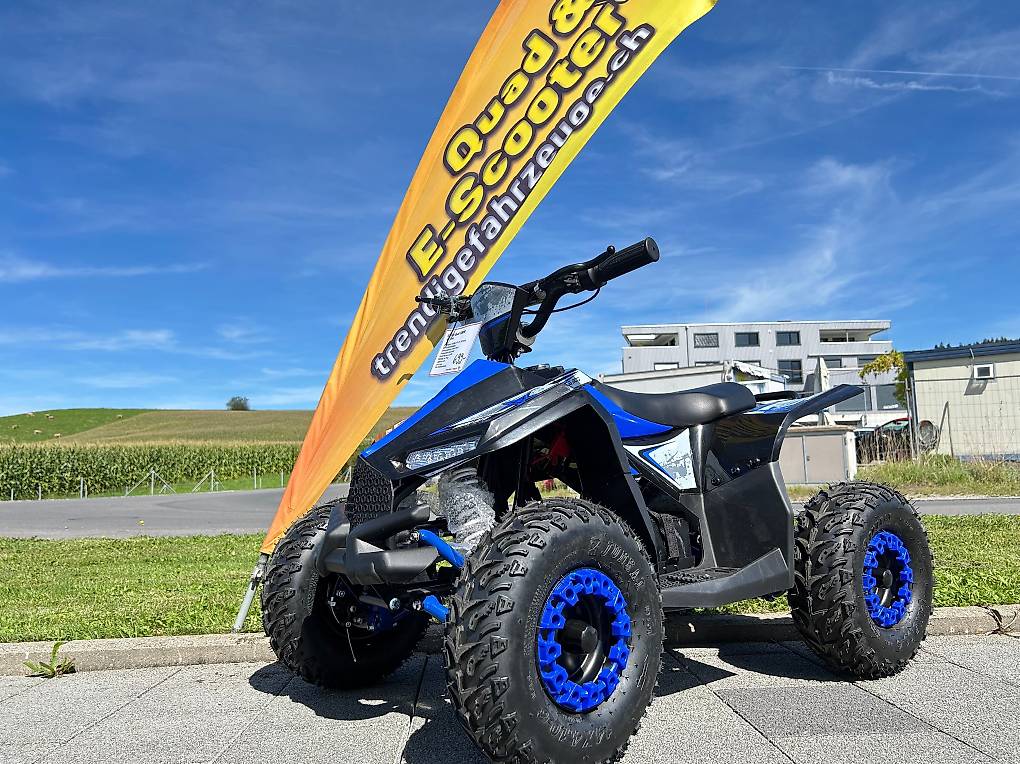 Mini Quad Sirius 1060 Watt in grün, elektro Quad ATV Kids Canton ...