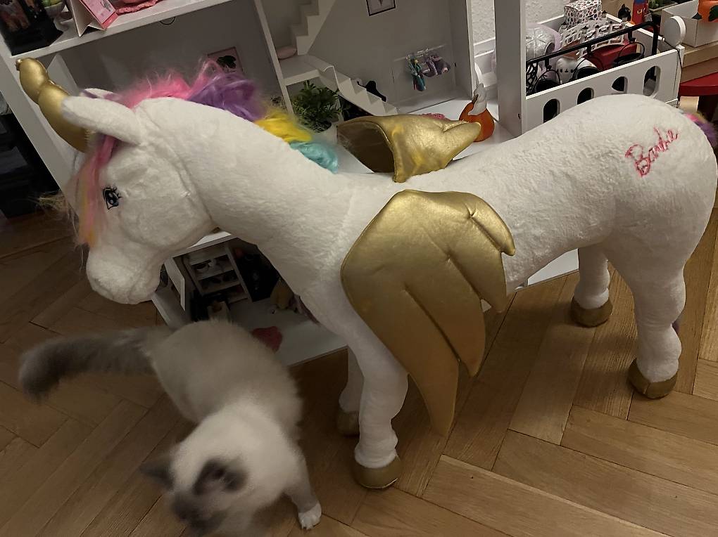 Peluche licorne géante (120 cm de haut) Canton Genève - anibis.ch