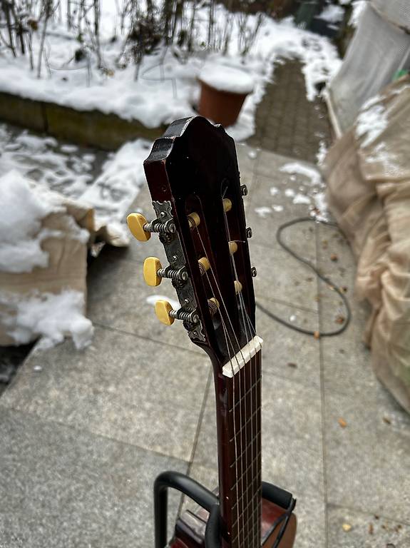 Ariana Vintage Gitarre 4601 inkl. Ständer Canton Lucerne - anibis.ch