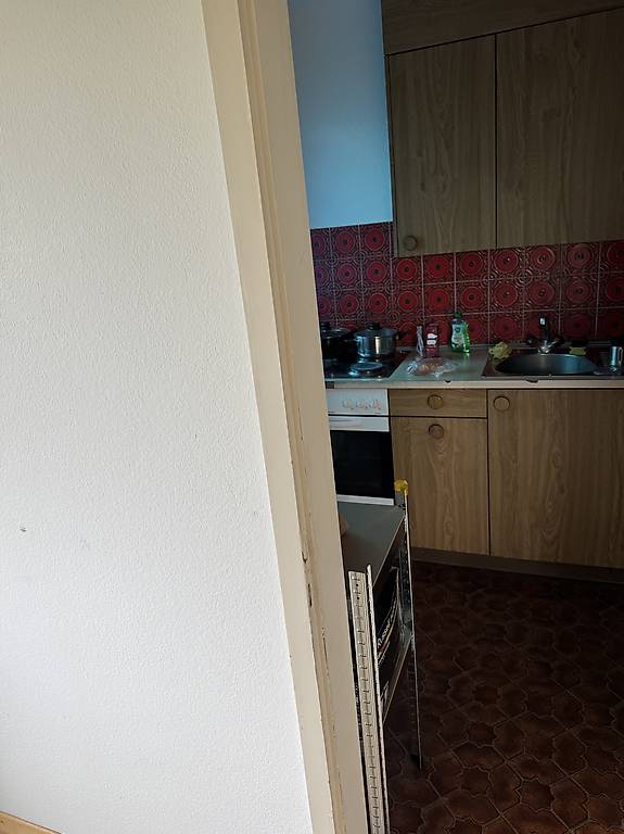 35m 1.5 room Apartment to rent for 3 months Canton Zurich louer - anibis.ch