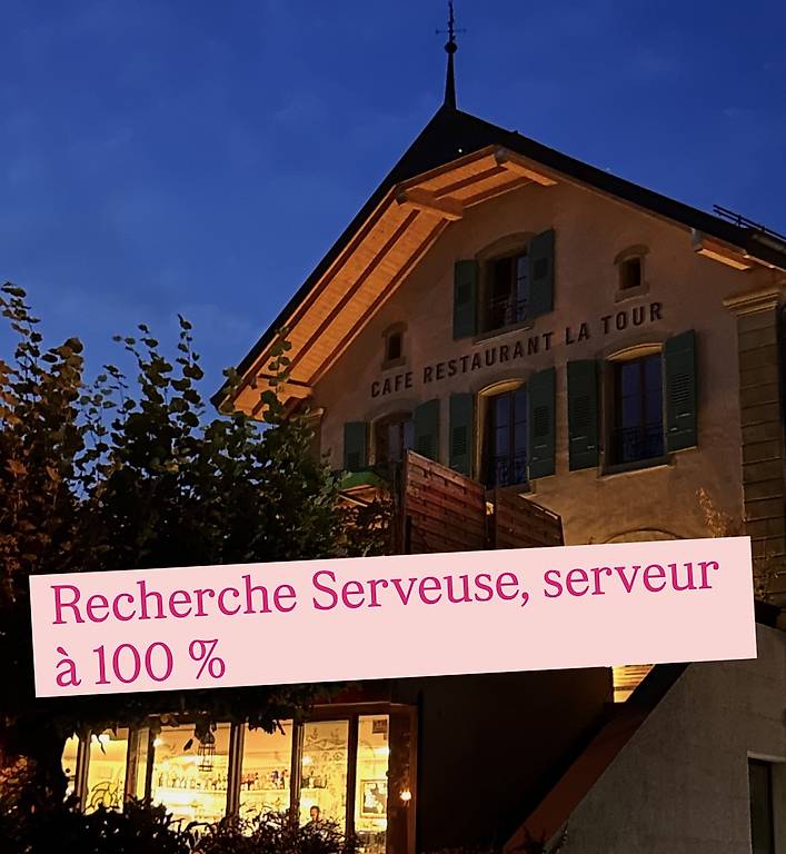 Cherche poste serveuse/barmaid extra Canton Vaud - anibis.ch