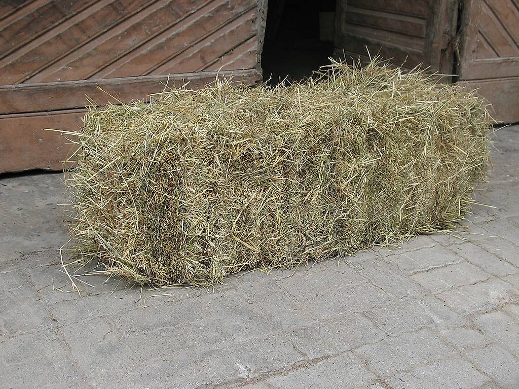 Foin en petites bottes Canton Vaud - anibis.ch